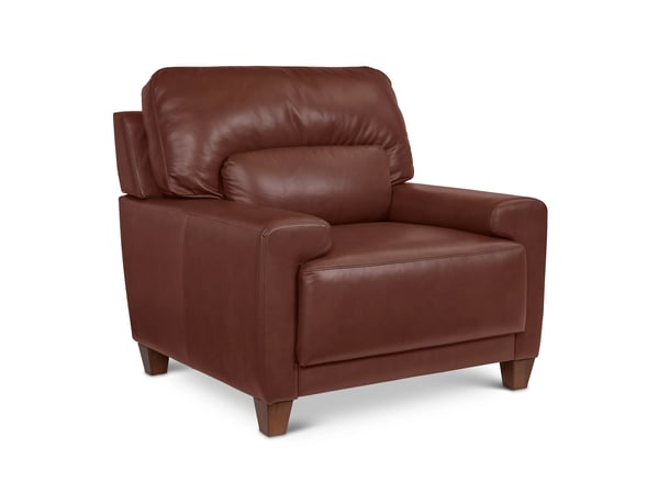 Review of the La-Z-Boy Draper Furniture Family: Chair, Loveseat, Sofa ...