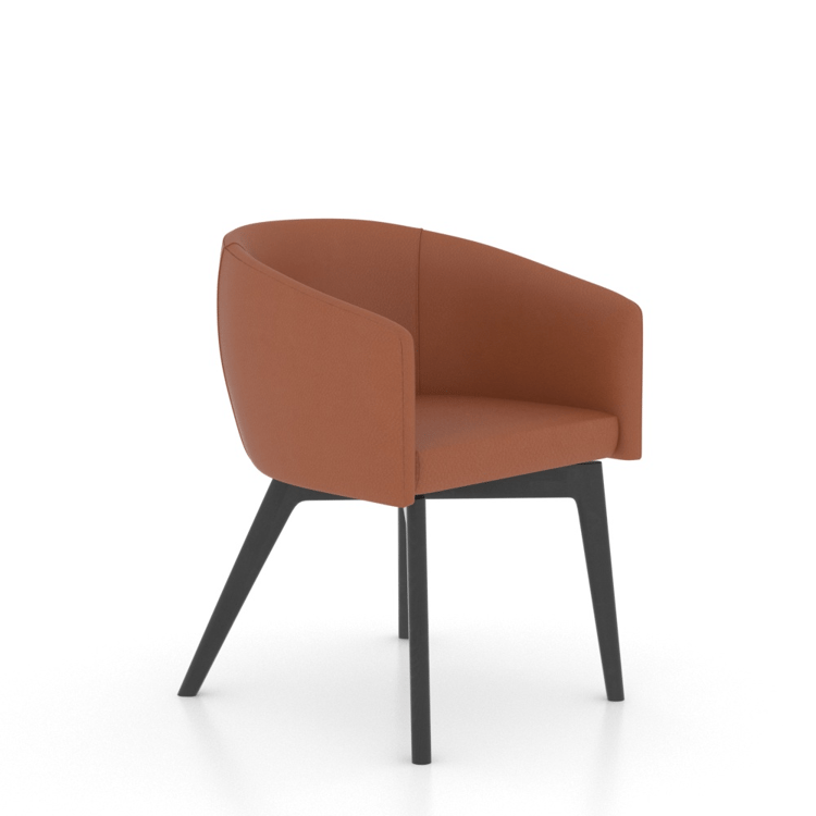 A Catalogue of the 2025 Minto Dream Home