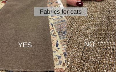 How to Pet-Proof Your Living Room in 5 Easy Steps